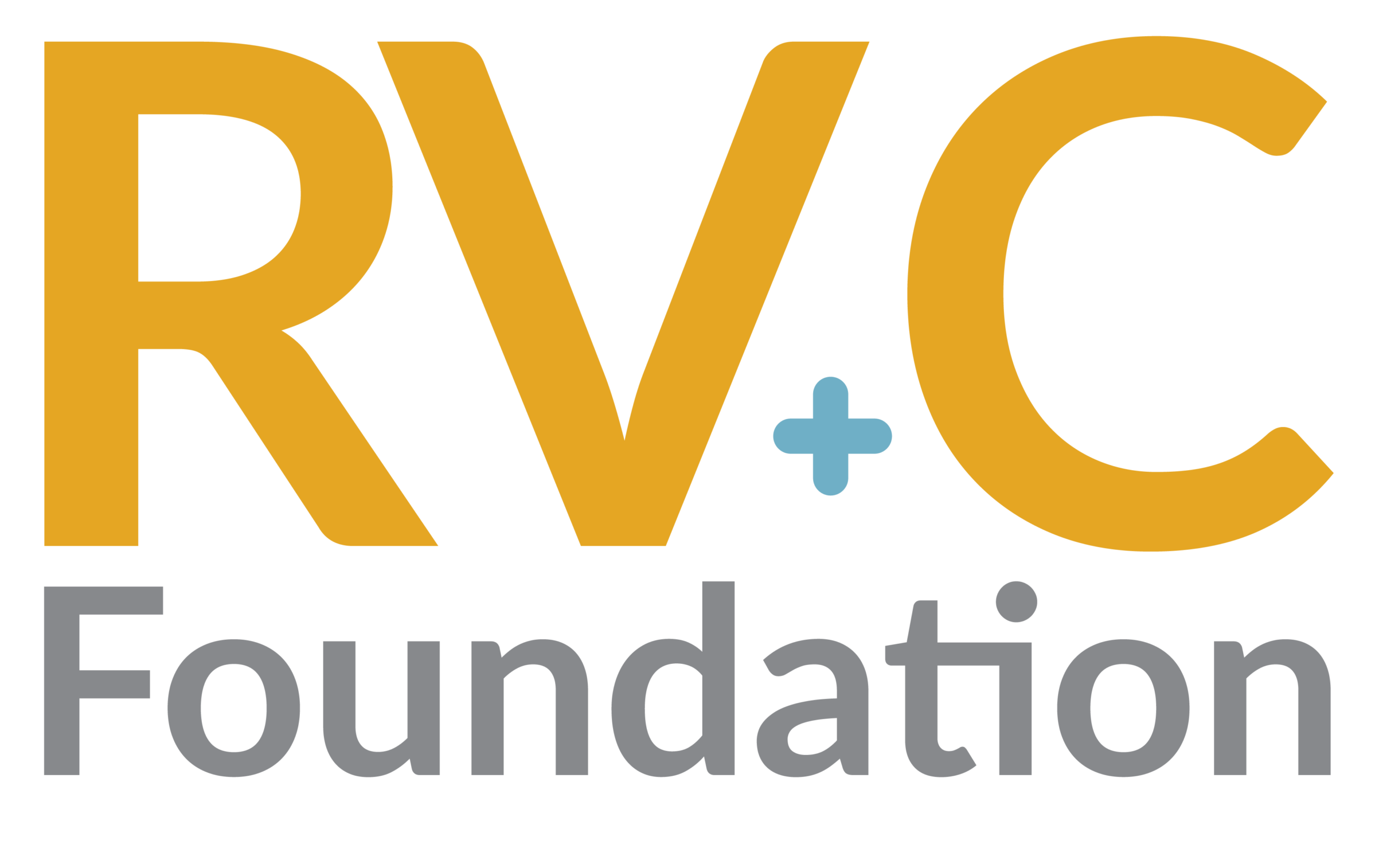 RV+C Foundation Funding Request Form | RehabVisions